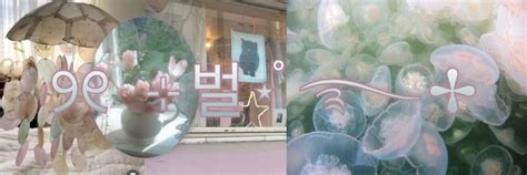 Blue Header With Floral Design