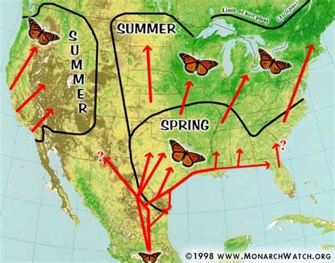Monarch Migration And Tagging