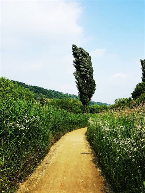 국립서울병원 페친여러분~~♡ 국립서울병원의 정신건강 강좌 및 음악회가 4월 14일화 오전 10시30분에 진행됩니다 이번 강좌는 소민아 정신과전문의가 들려주는 수면