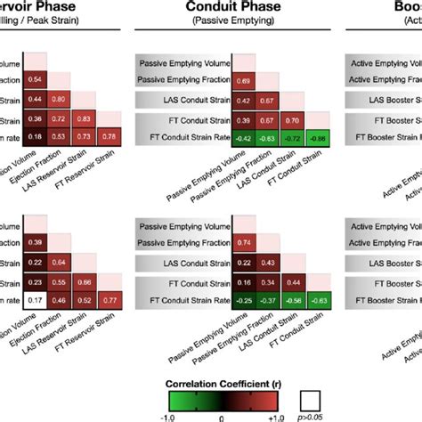 Atrial Correlograms Correlograms Depict Linear Relationships Between Download Scientific