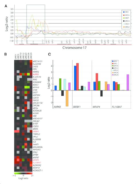 A Dna Copy Number Profile Of Chromosome 17 For Six Leiomyosarcomas