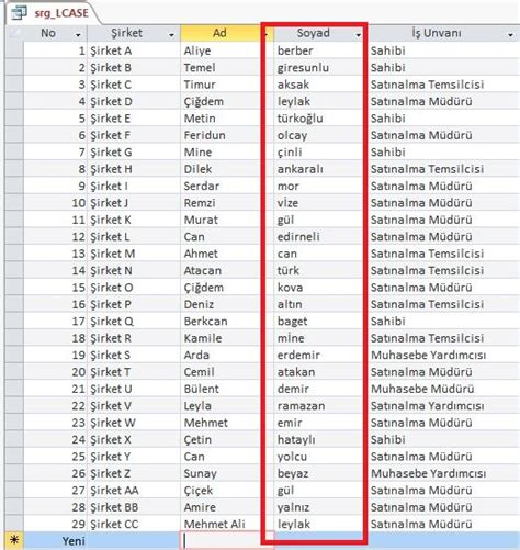 Ucase Lcase Fonksiyonları
