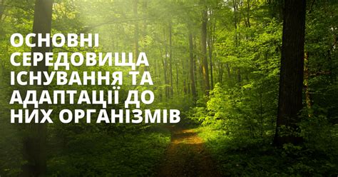 Основні середовища існування та адаптації до них організмів Презентація Біологія