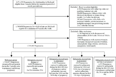 Flowchart Of The Study Cohort Download Scientific Diagram