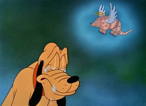 Pluto And The Armadillo 1943 The Internet Animation Database
