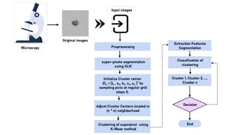 Flow Chart Of Estimating The Density Of Spike Proteins And Areas Of