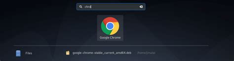 How To Install Google Chrome On Debian ComputingForGeeks