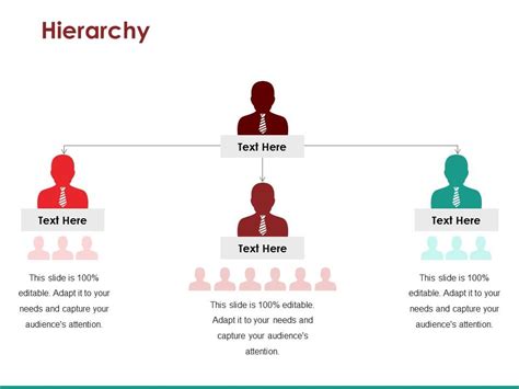 Hierarchy Ppt Icon PowerPoint Templates Designs PPT Slide Examples Presentation Outline