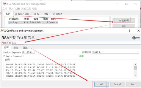 使用xca工具生成自签证书 Csdn博客