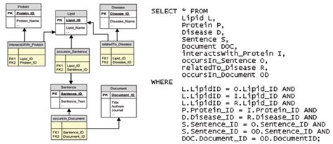 Relational Database Query For Lipid Protein Disease Sentences Download Scientific Diagram