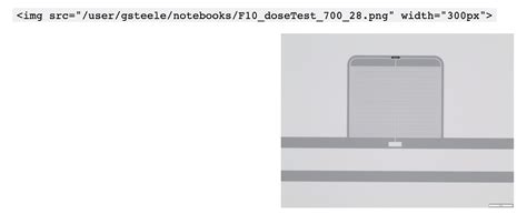 absolute paths to markdown images in a jupyterhub programming