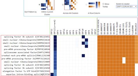 Clustergram For Enrichment Metascape Blog