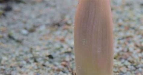 Sequence Album On Imgur