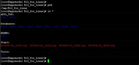 install ebs r12 on 11g rac asm oracle