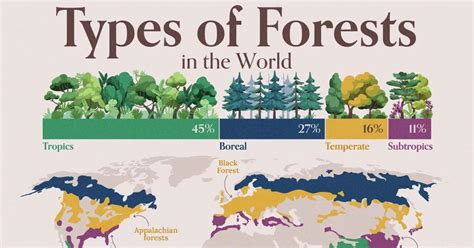Mapped The Four Major Types Of Forests Around The World Aamstrong A