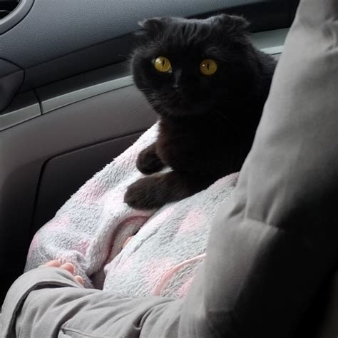 Kiratherhythmicgymnast Youtube