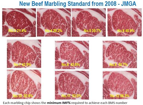 Cara Menentukan Grade Daging Wagyu Jepang Star Farm International
