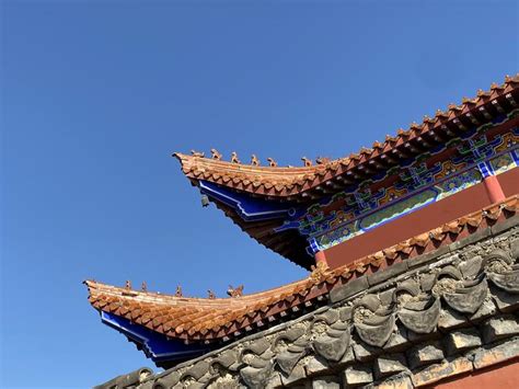 Recover在法律英语中的含义及用法 知乎