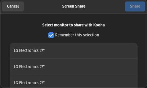 screen selection shows the same description for multiple monitors