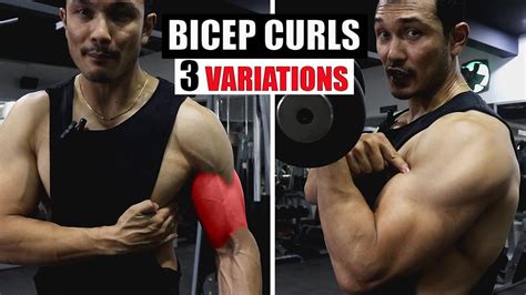 Bicep Curl Variations At Erin Love Blog