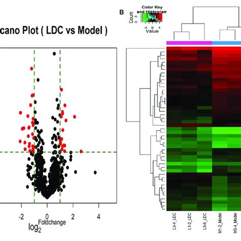 volcano plot a and hierarchical clustering b of mirnas in kk ay