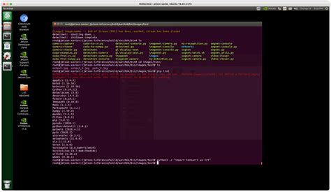 Tensorrt Environment · Issue 1001 · Dusty Nvjetson Inference · Github