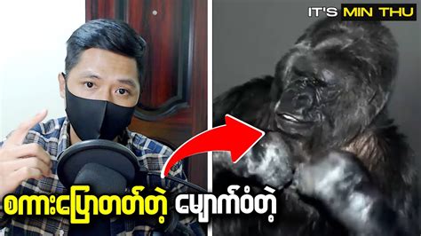 ကမ္ဘာ့ပထမဦးဆုံး စကားပြောတတ်တဲ့ သတ္တဝါဖြစ်လာတဲ့ မျောက်ဝံ Youtube