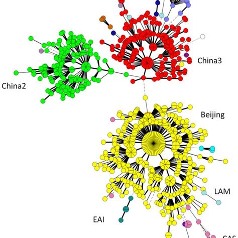 minimum spanning tree showing the clustering by mlva15china of 805 m