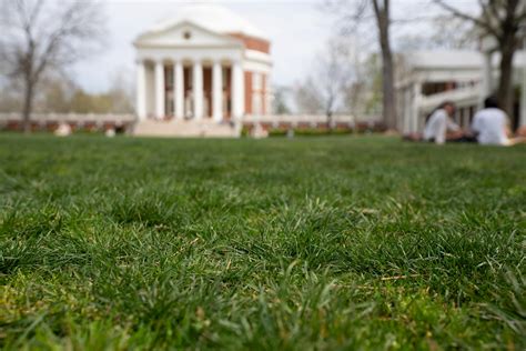 Uva Lawn Days 08