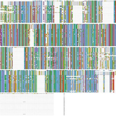 multiple sequence alignment of atp13a2 from different species we