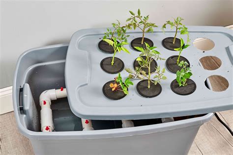 How To Choose The Perfect Hydroponic Drainage System For Your Setup