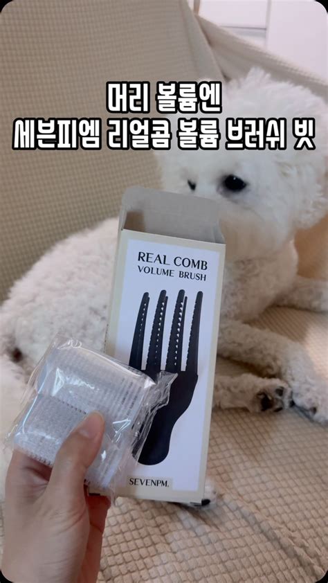 Catc 협찬 Sevenpmofficial 🌟 드디어 찾았다 볼륨 드라이의 신세계 세븐피엠 리얼콤 볼륨 브러쉬 빗으로 샐롱 드라이를 집에서 손쉽게 특별한 2층