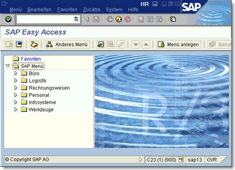 Sap R3 Characterize Your Application