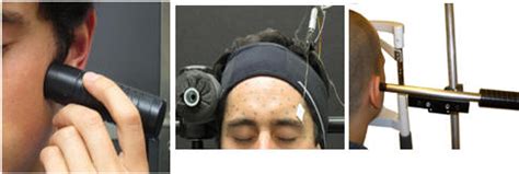 Finite Element Modeling Of The Face Experimental Continuum Mechanics ETH Zurich