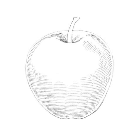 How To Draw An Apple Envato Tuts
