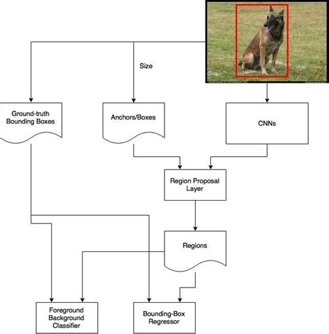 Faster R Cnn Explained Faster R Cnn Has Two Networks Region By Hao Gao Medium