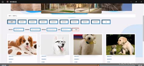 基于ssmvue的流浪宠物救助系统【开题程序论文】流浪宠物救助管理系统 Csdn博客