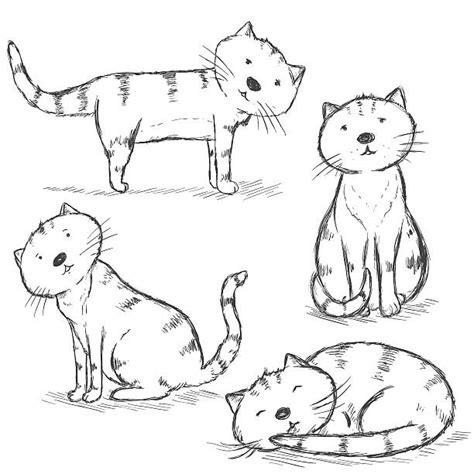 Cat Sleeping Curled Illustrations Royalty Free Vector Graphics And Clip