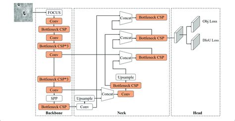 Architecture Of The Light Yolo Basin Network Spp Is Spatial Pyramid Download Scientific