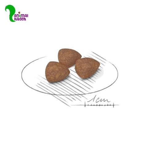 غذای خشک مینی ایندور پاپی رویال کنین Royal Canin Mini Indoor Puppy