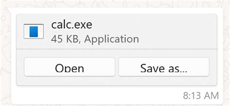 Whatsapp For Windows Lets Python Php Scripts Execute With No Warning
