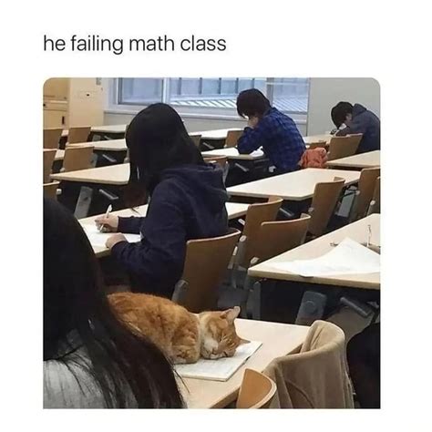 He Failing Math Class Ifunny
