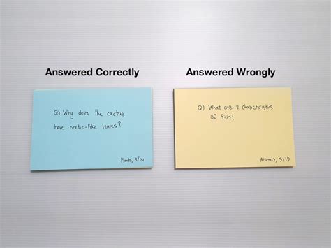 How To Make Your Own Flashcards Skoolopedia