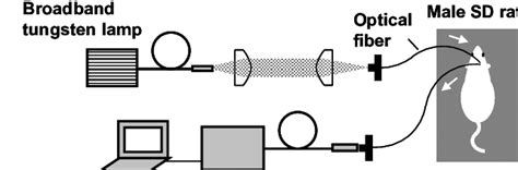 Experimental Setup For Diffuse Reflectance Measurement Download Scientific Diagram