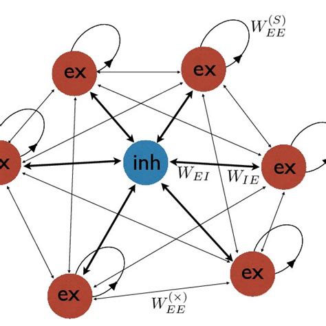 Schematic View Of Network Excitatory Selfconnections Render Each