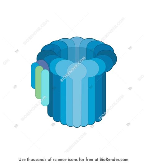 Free Membrane Attack Complex Mac Icons Symbols And Images Biorender