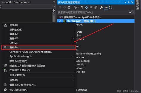 Webapi发布到iis服务器的流程 详细解析 百分之百成功webapi服务器 Csdn博客