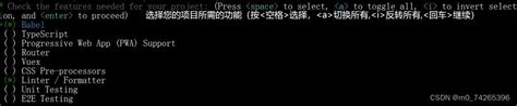 Nodejs与vue Cli环境搭建及项目创建步骤 Csdn博客