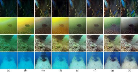 Subjective Comparisons Of Different Uie Methods On Greenish Bluish