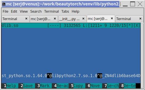 Python Cant Import So File From Another So Stack Overflow